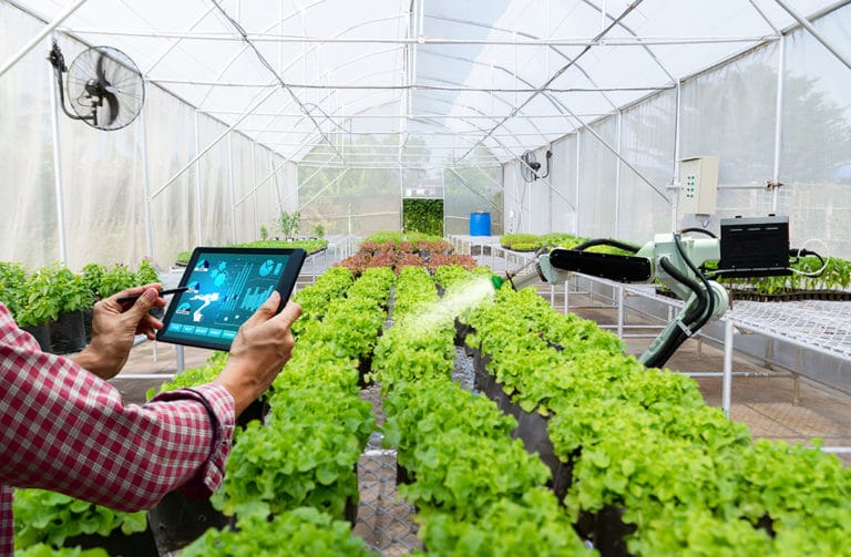 Software Development and Agritech Solutions | HT Apps